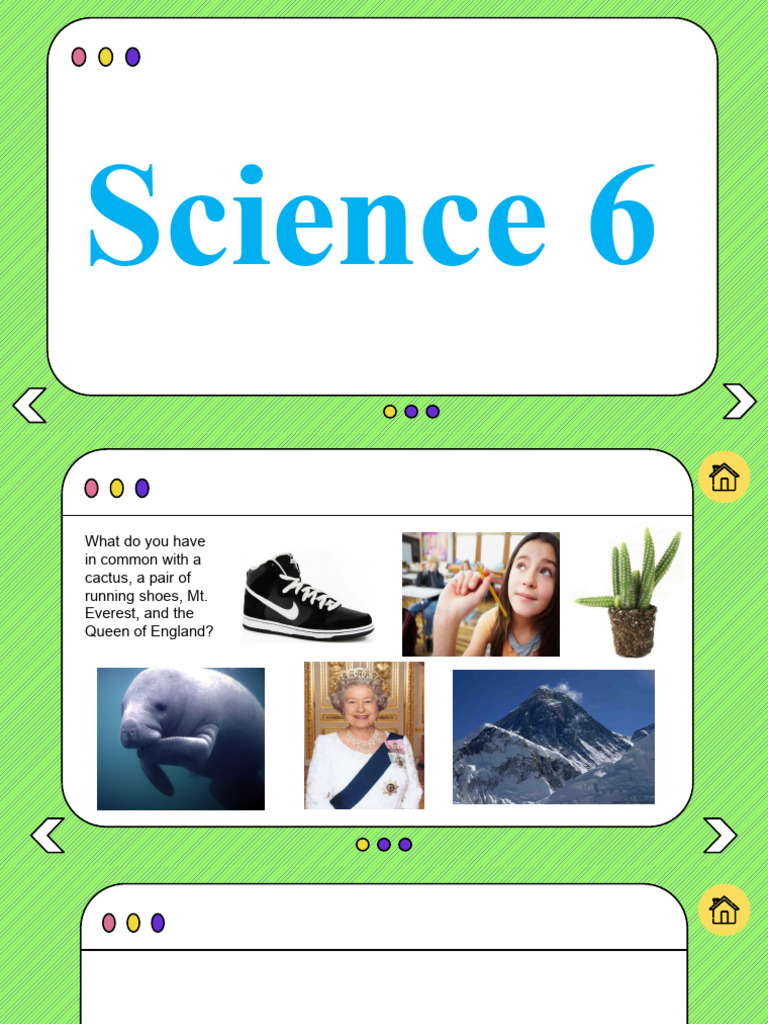 Science 6 Matter | PDF | Gases | Matter