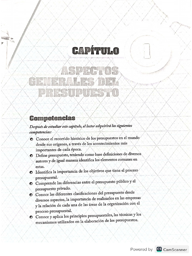 Capitulo 1 Aspectos Generales de Presupuestos | PDF
