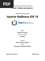 Manual de Instalación de NetBeans y JDK | PDF | Frijoles Netos | Aplicaciones y software