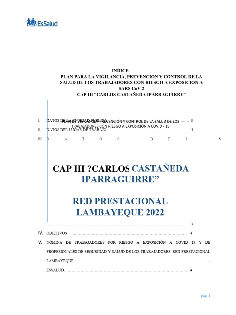 Plan Vigilancia Covid 19 -Cap III Cci | PDF | Lavado de manos | Medicina