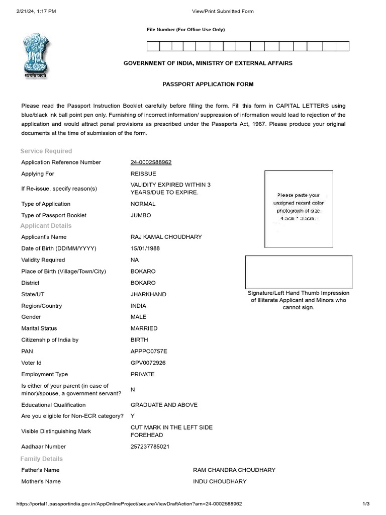 View - Print Submitted Form | PDF | Passport | Government And Personhood