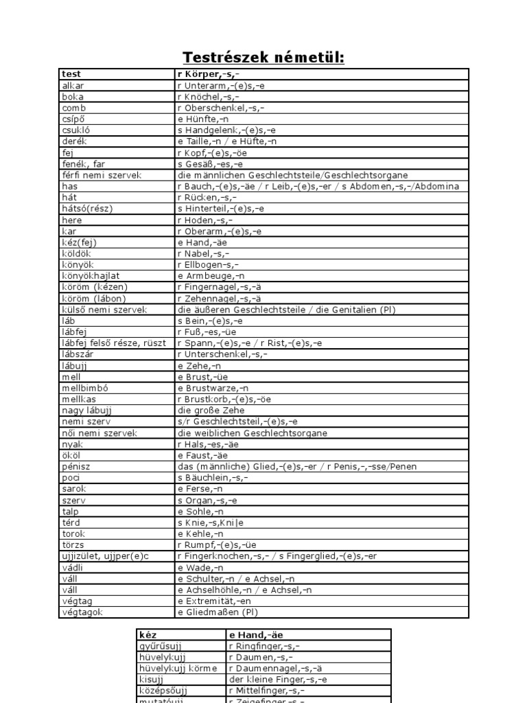 Testrészek Németül | PDF