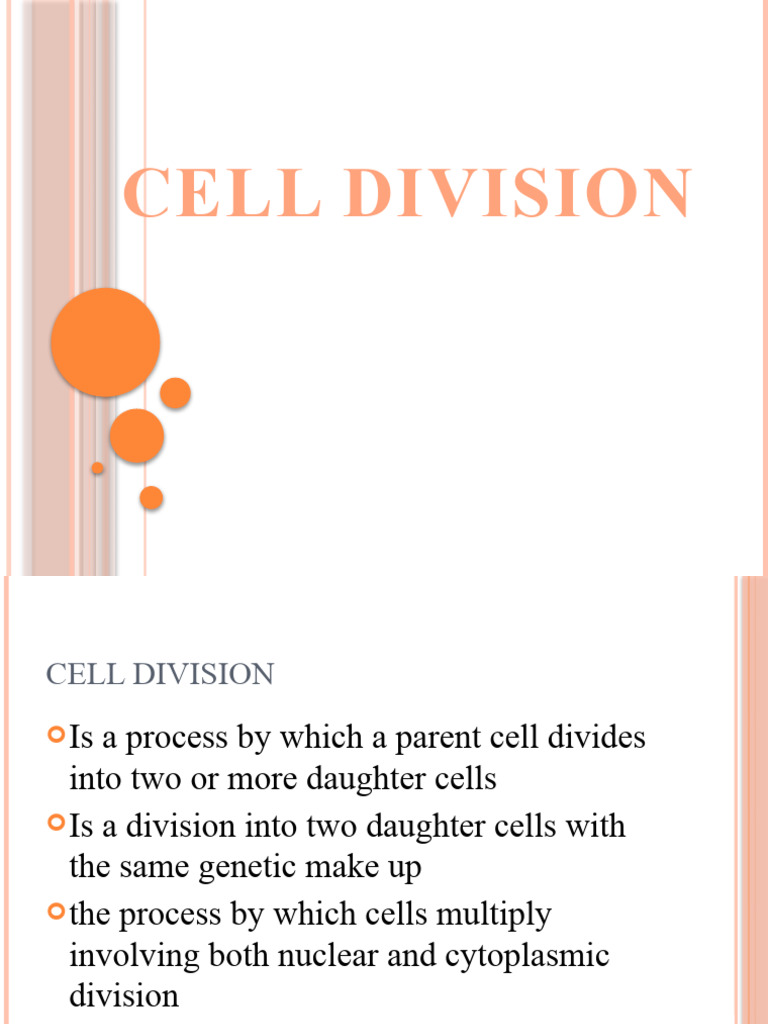 Cell Division Discussion - Cell Cycle and Mitosis Only | PDF | Mitosis ...