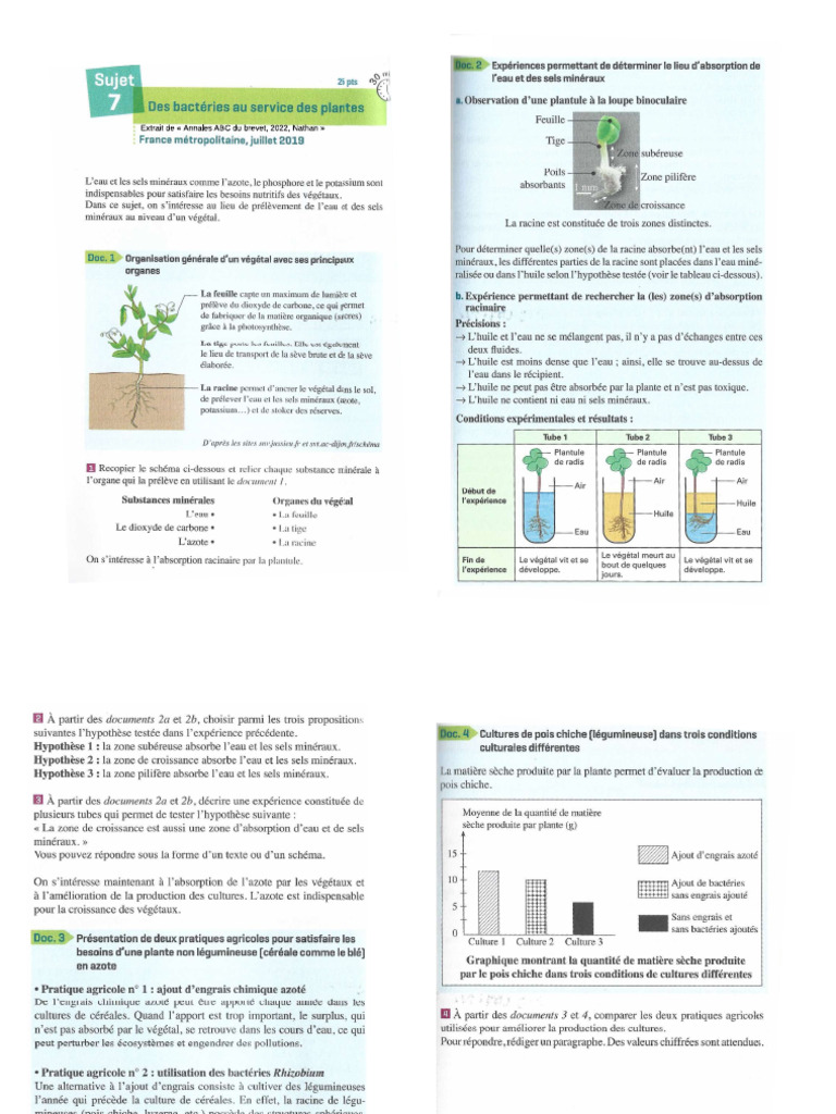 Sujet DNB Végétaux Et Bactéries Pronote | PDF