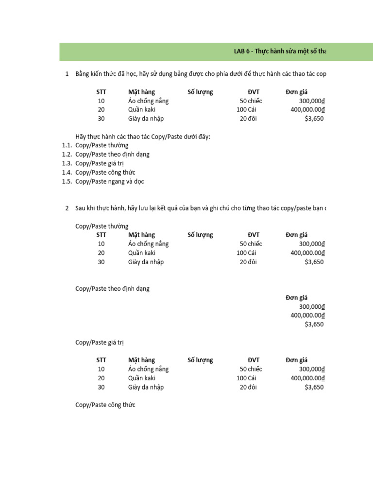 Lab 6 - Thực hành một số thao tác copy paste trong excel | PDF