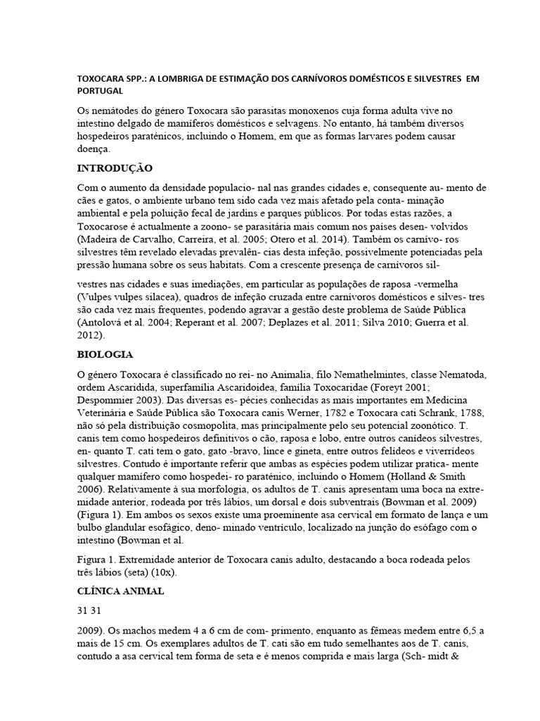 Toxocara SPP - Trabalho de Parasitologiaaaaa | PDF | Gravidez | Fungo