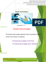 Sporulation et structure des spores bactériennes | PDF | Spore | Biologie