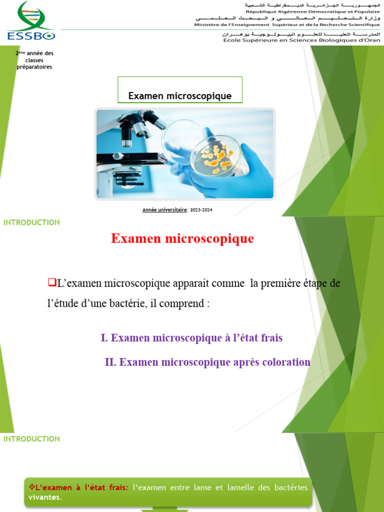 Microbilogie- TP2-Examen microscopique-2024 | PDF | Bactérie | Microbiologie