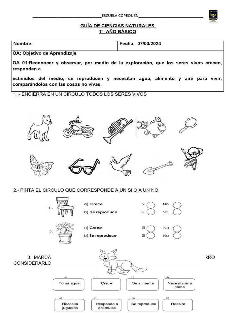 Guia Seres Vivos Primero Basico | PDF