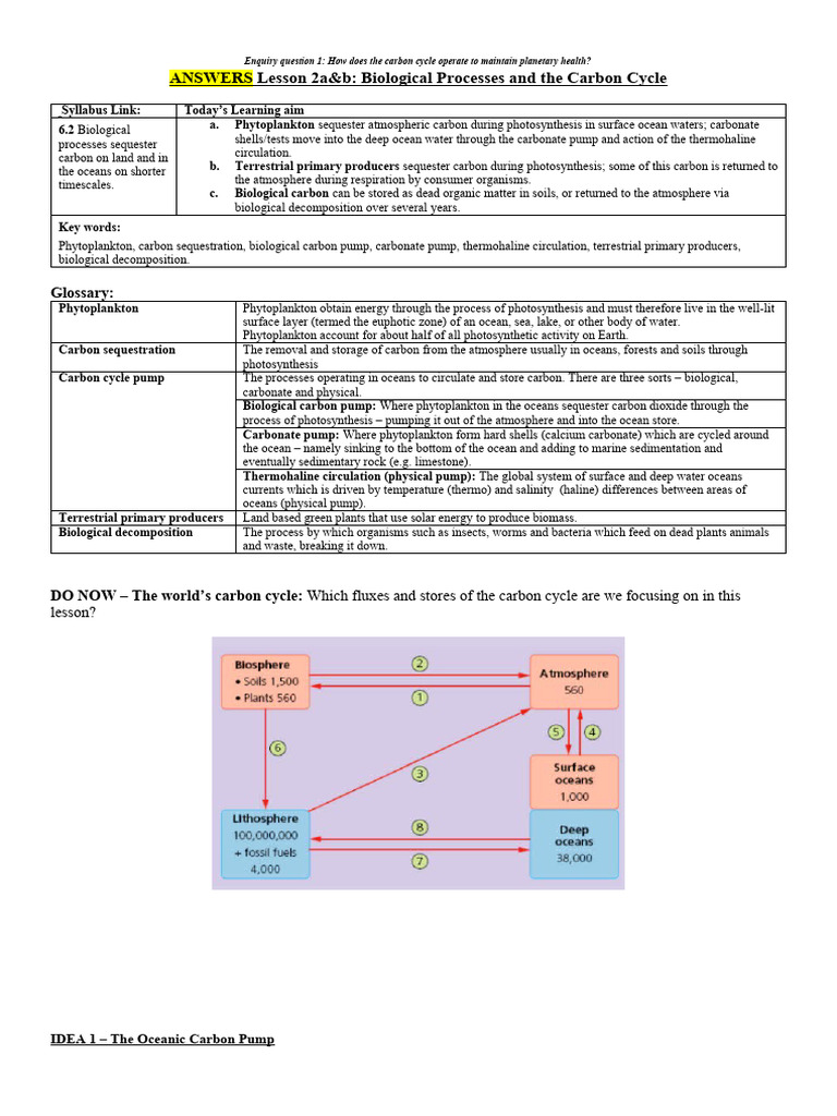 L2 answers carbon | PDF | Carbon Cycle | Oceans