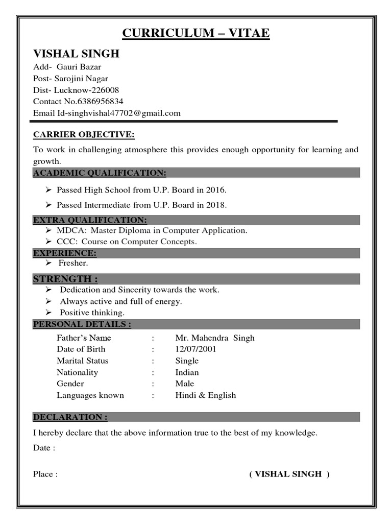 VISHAL resume | PDF