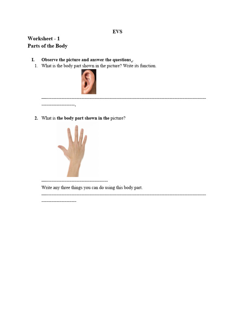 Class III, EVS Worksheets - 1 | PDF | Vegetables | Water