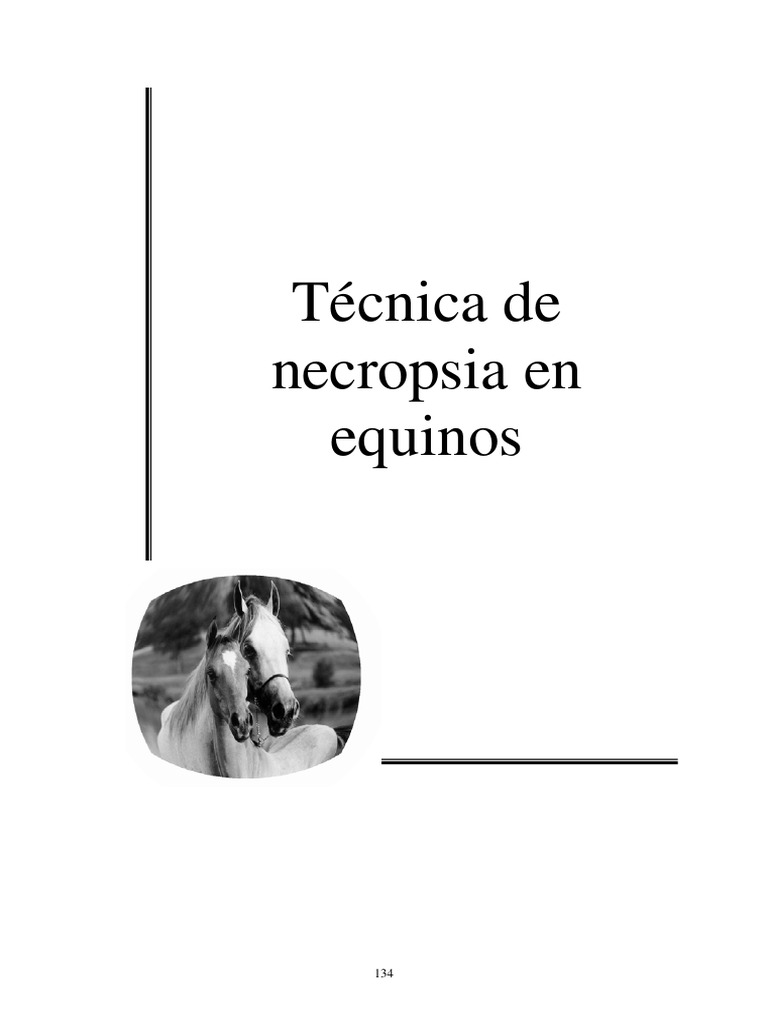 Técnica de necropsia en equinos | PDF | Ventrículo (corazón) | Corazón
