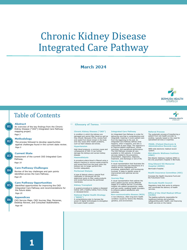 CKD Integrated Care Pathway Insights | PDF | Chronic Kidney Disease ...