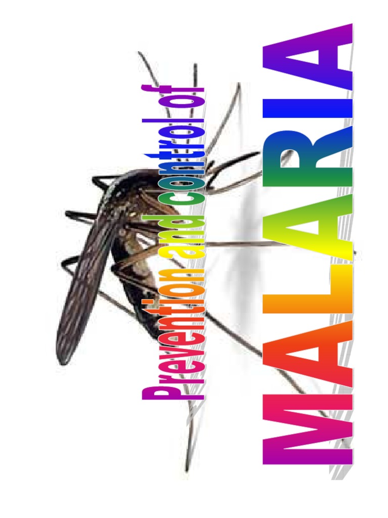 Malaria Control Strategies | PDF | Malaria | Insecticide