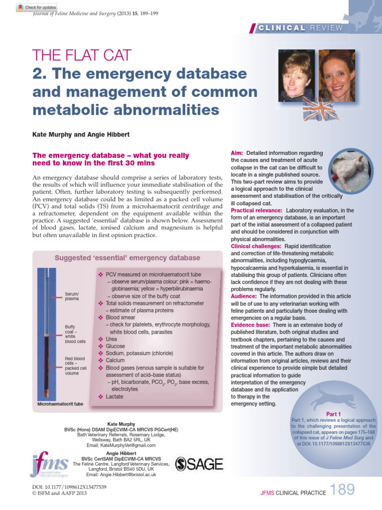 Base de Dtos en Gatos M.V. Javier Mouly | PDF | Sepsis | Medicine