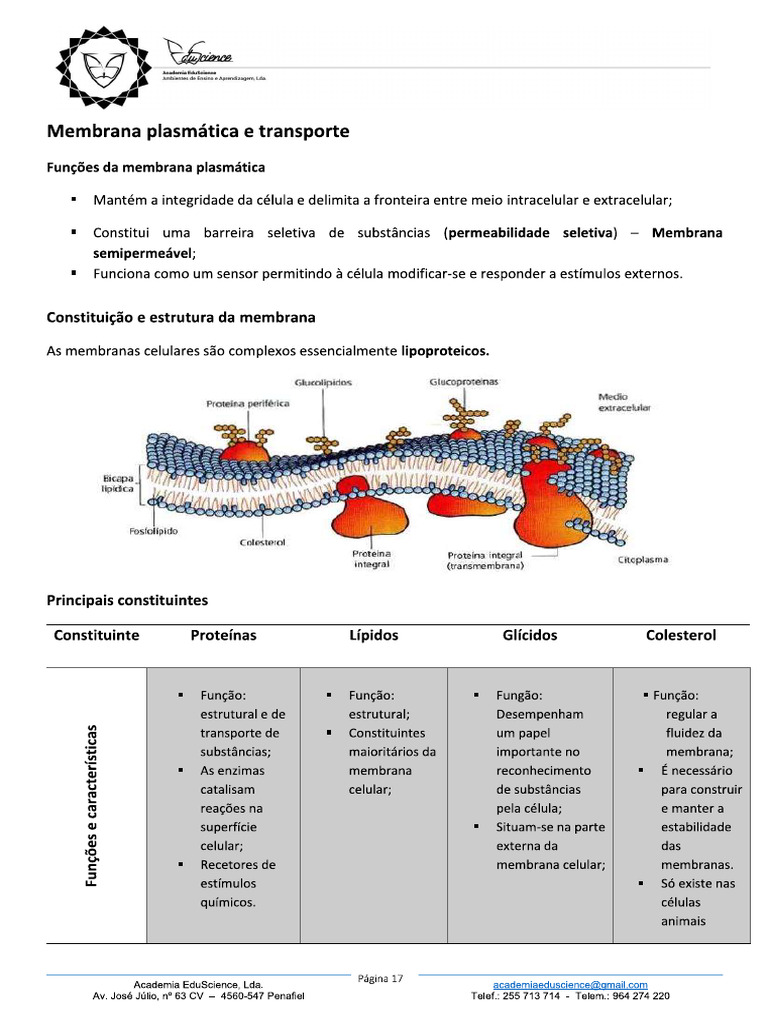 Folhas Dos Resumos | PDF