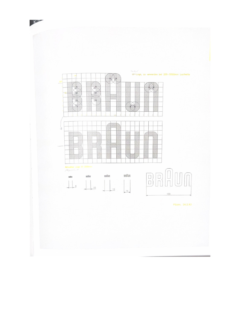 Braun | PDF