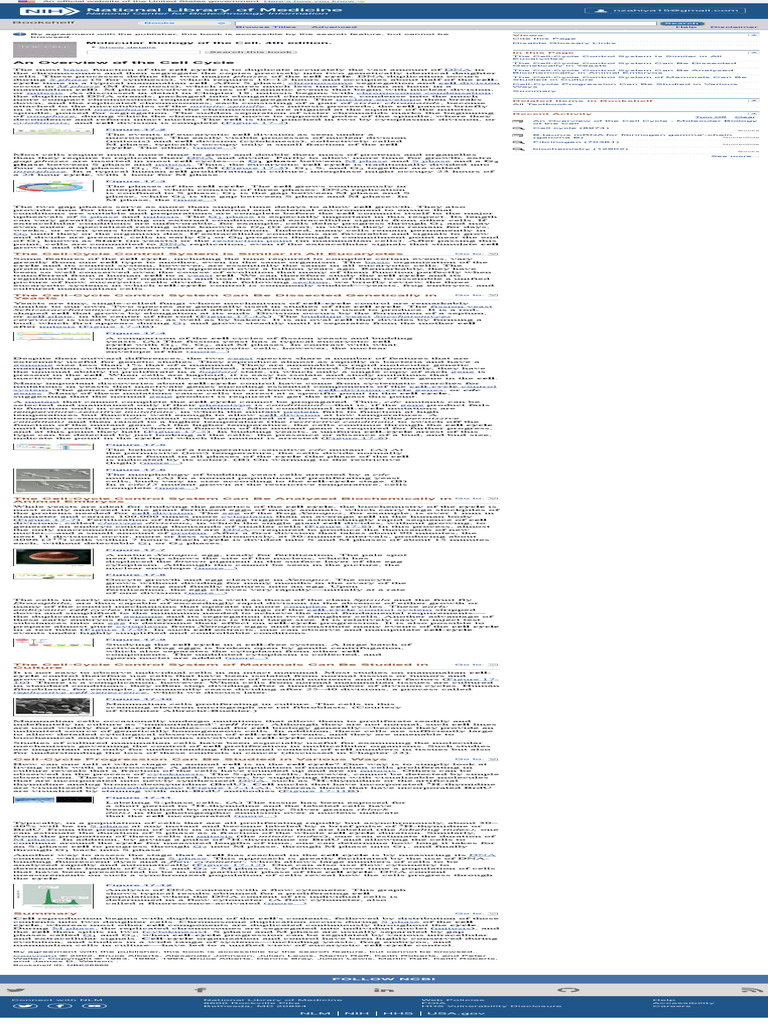 An Overview of the Cell Cycle - Molecular Biology of the Cell - NCBI Bookshelf | PDF | Cell ...