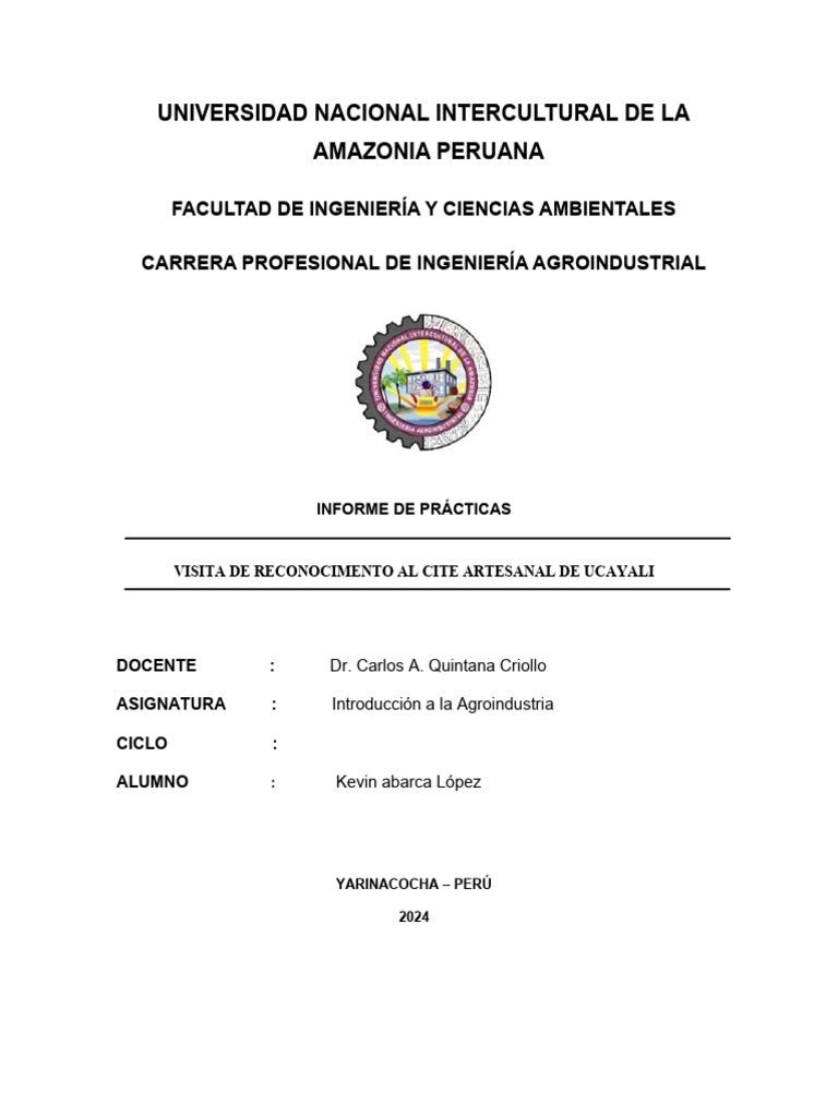Kevin Abarca López Cite Artesanal | PDF | Marketing | Economias