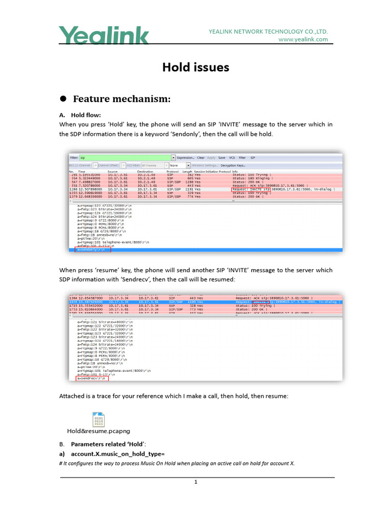 Hold issues | PDF | Session Initiation Protocol | World Wide Web
