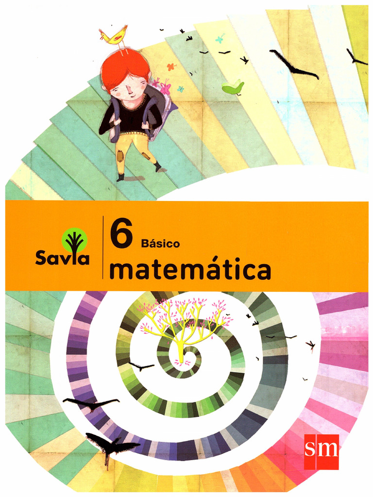 Matematica 6to Basico Proyecto Savia | PDF