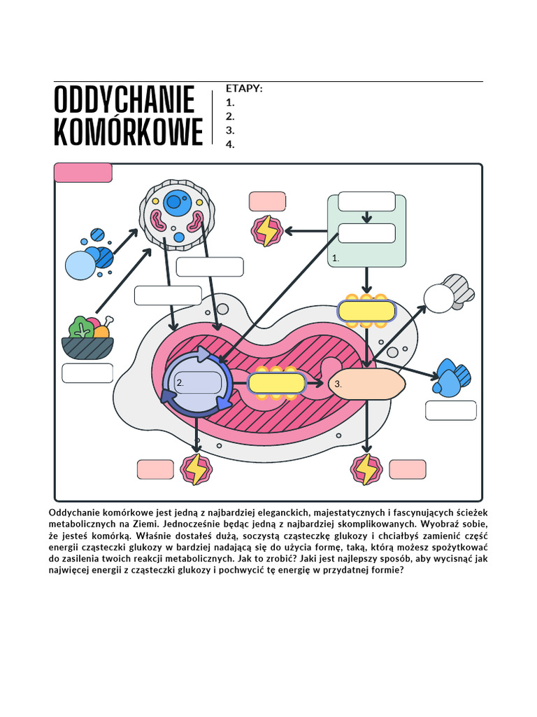 Oddychanie Komórkowe | PDF