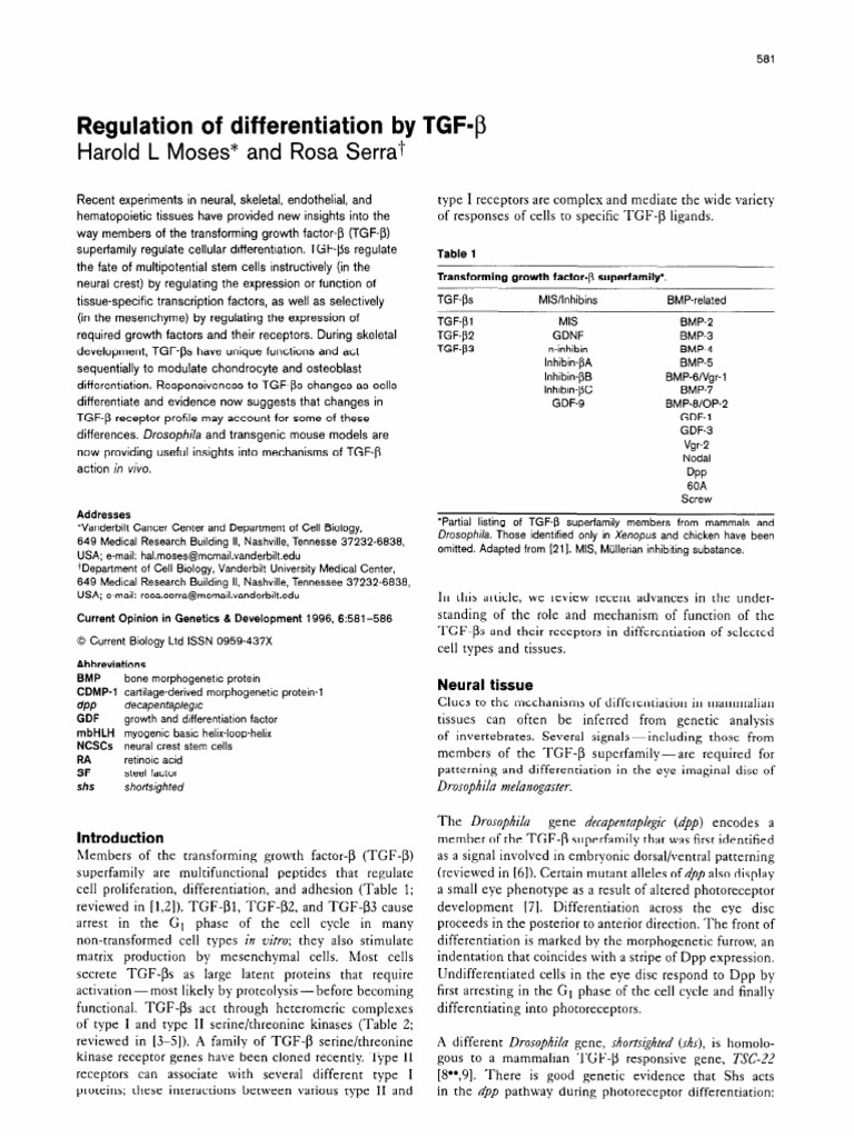 Regulation of Differentiation | PDF | Cellular Differentiation | Osteoblast