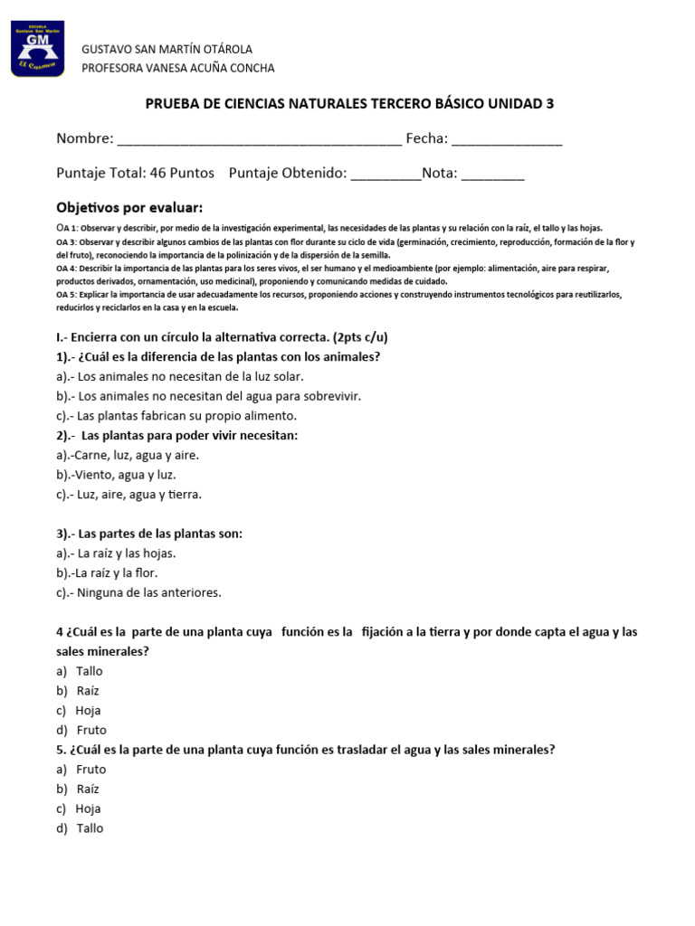 Prueba Ciencias Naturales 3 Basico Unidad 3 Plantas Pdf Plantas