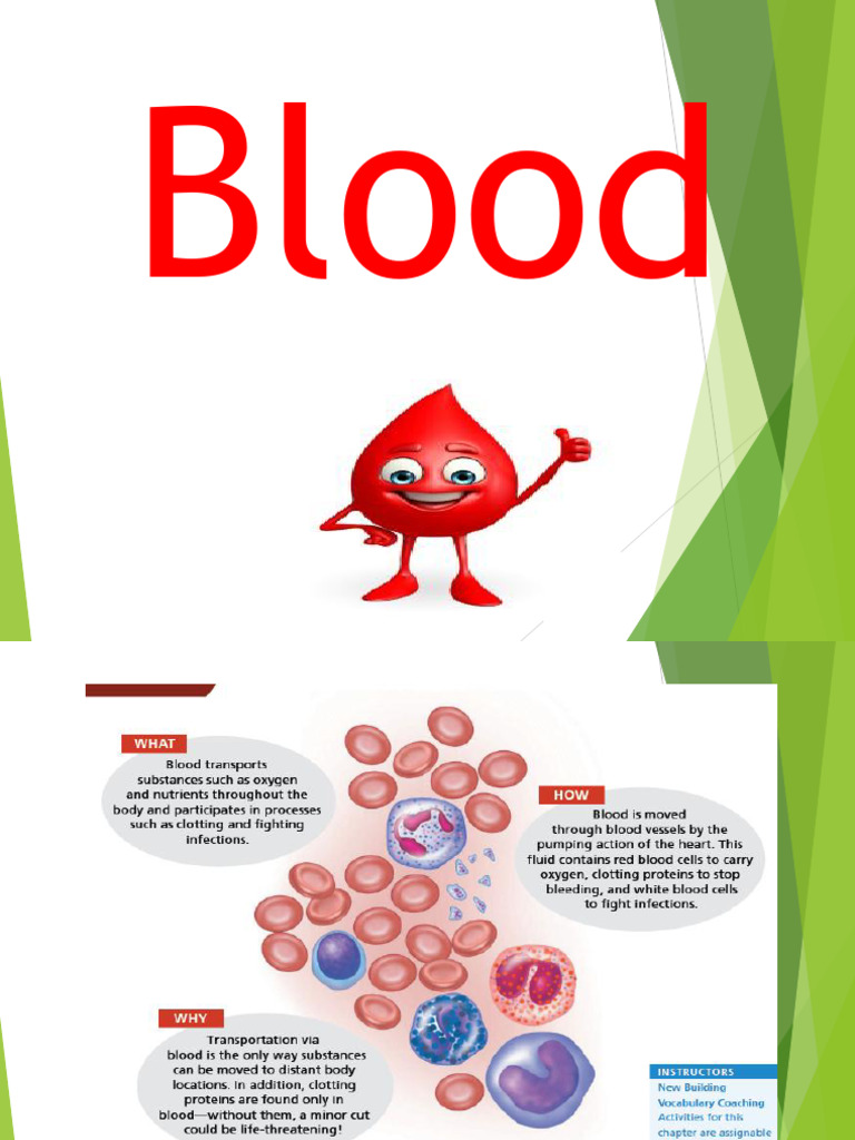 Blood and Cardiovas - Sys Updated2022 | PDF | Heart Valve | Heart