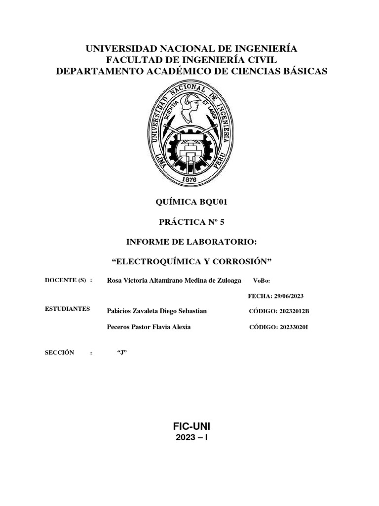 Informe LAB #5 - Electroquímica | PDF | Corrosión | Redox