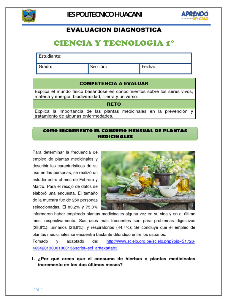 EVAL DIAGN 1° | PDF