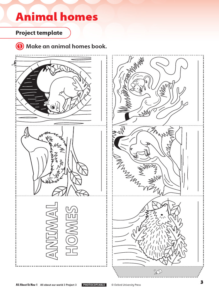 Worksheets Animals | PDF | Zoology | Animals And Humans