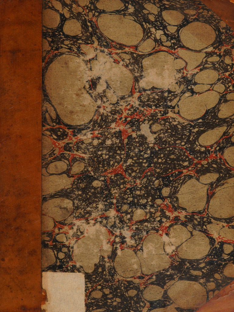 s 2400 Id 1378608 | PDF | Lung | Thorax