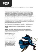 Origem Arrancar - Bleach | PDF