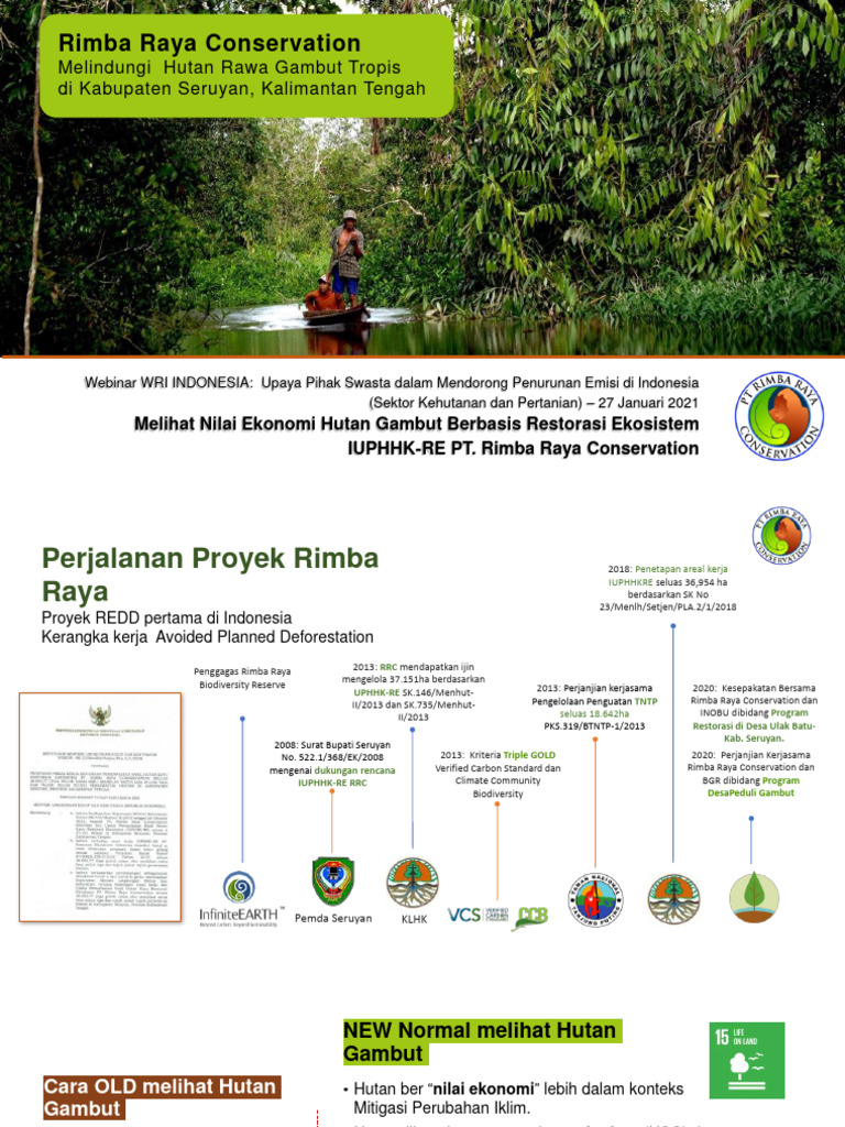 Rimba Raya Melihat Nilai Ekonomi Hutan Gambut Berbasis Restorasi | PDF