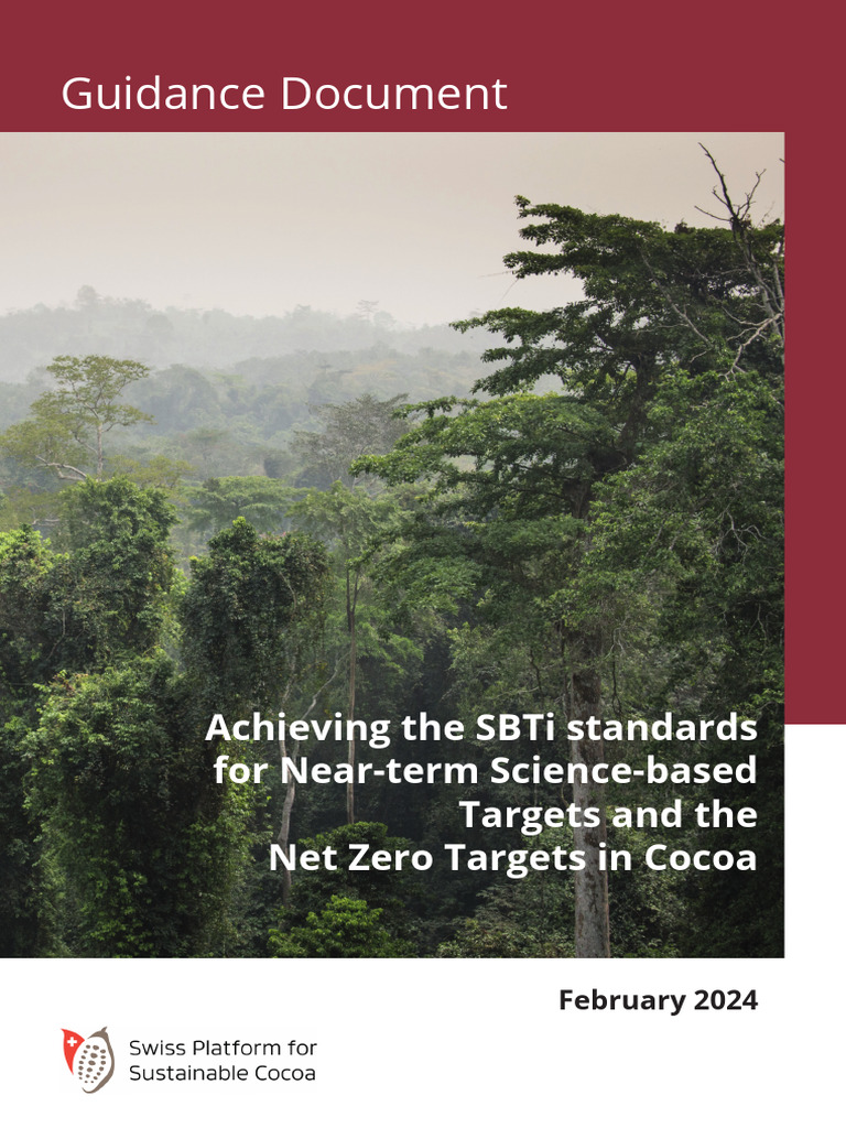 SWISSCO Guidance Document SBTi Standards | PDF | Carbon Footprint ...