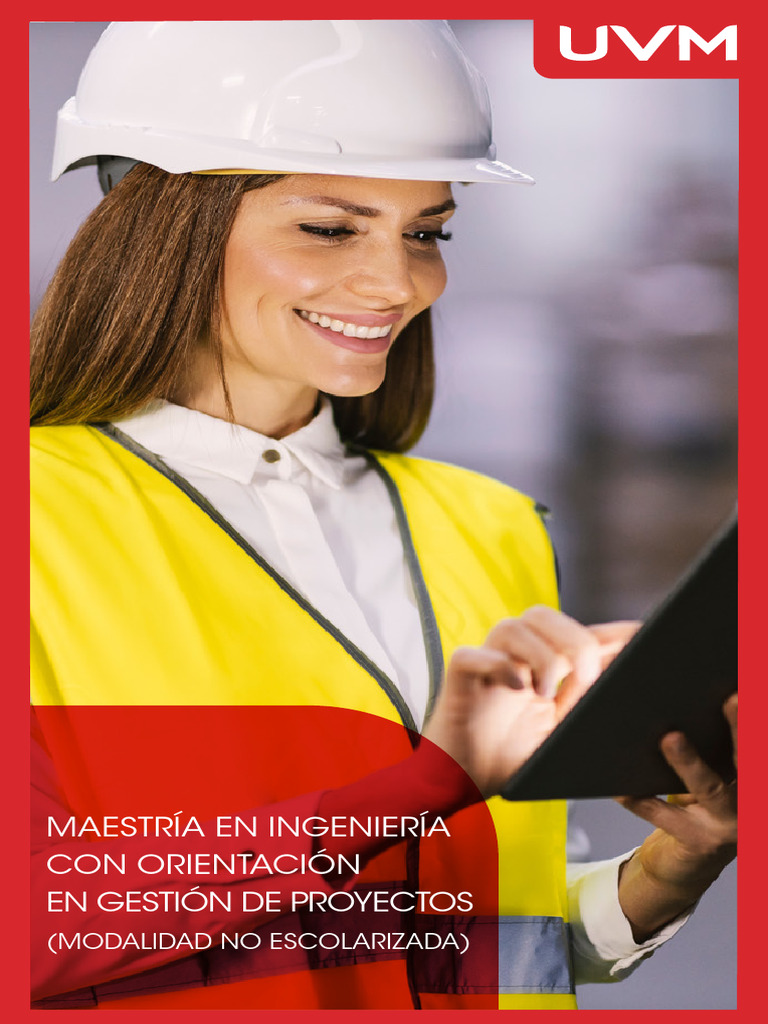 Maestría en Ingeniería Con Orientación en Gestión de Proyectos Uvm ...