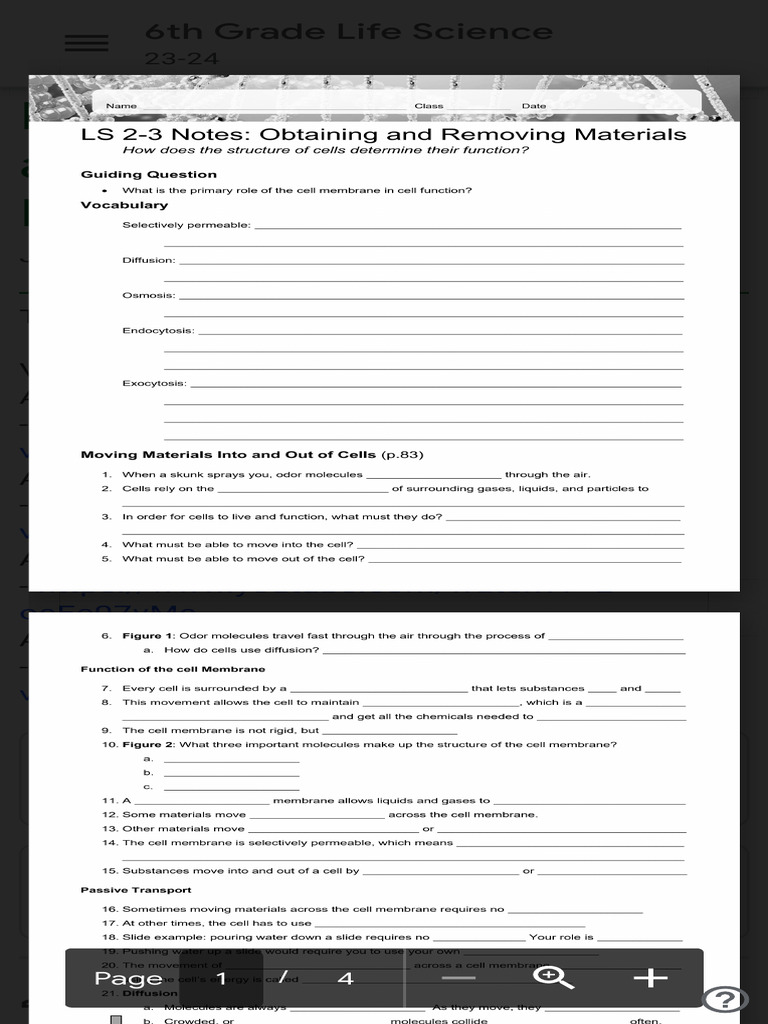 LS 2-3 Obtaining and Removing Materials (Week 8) | PDF | Cell Membrane | Cell (Biology)