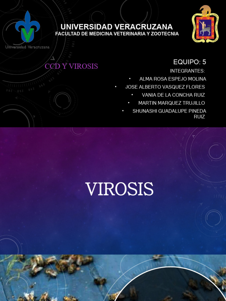 CCD Y VIROSIS | PDF | Apicultura | Abejas