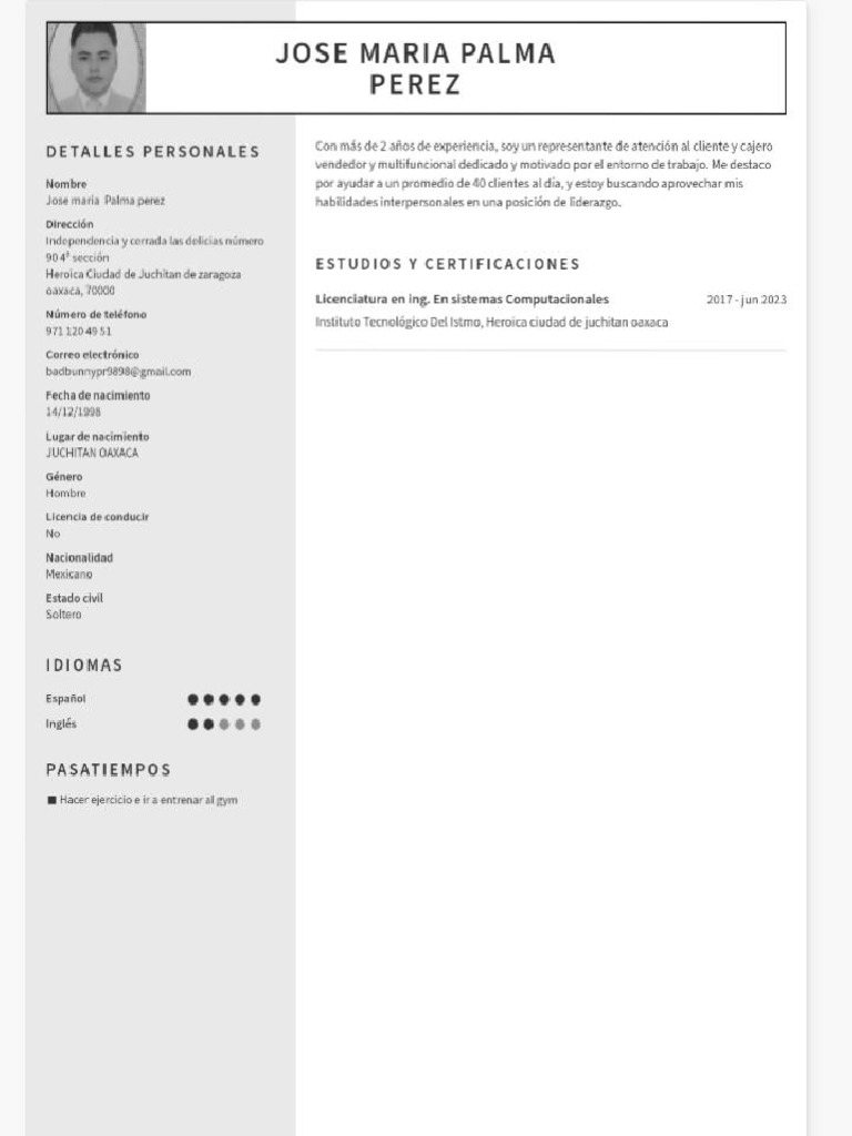 CV (Jose Maria Palma Perez) | PDF