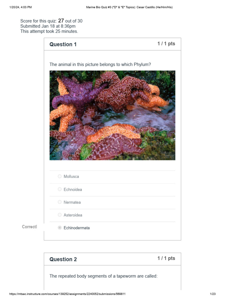 Marine Biology Quiz #3 Results | PDF | Animal Taxa | Zoology