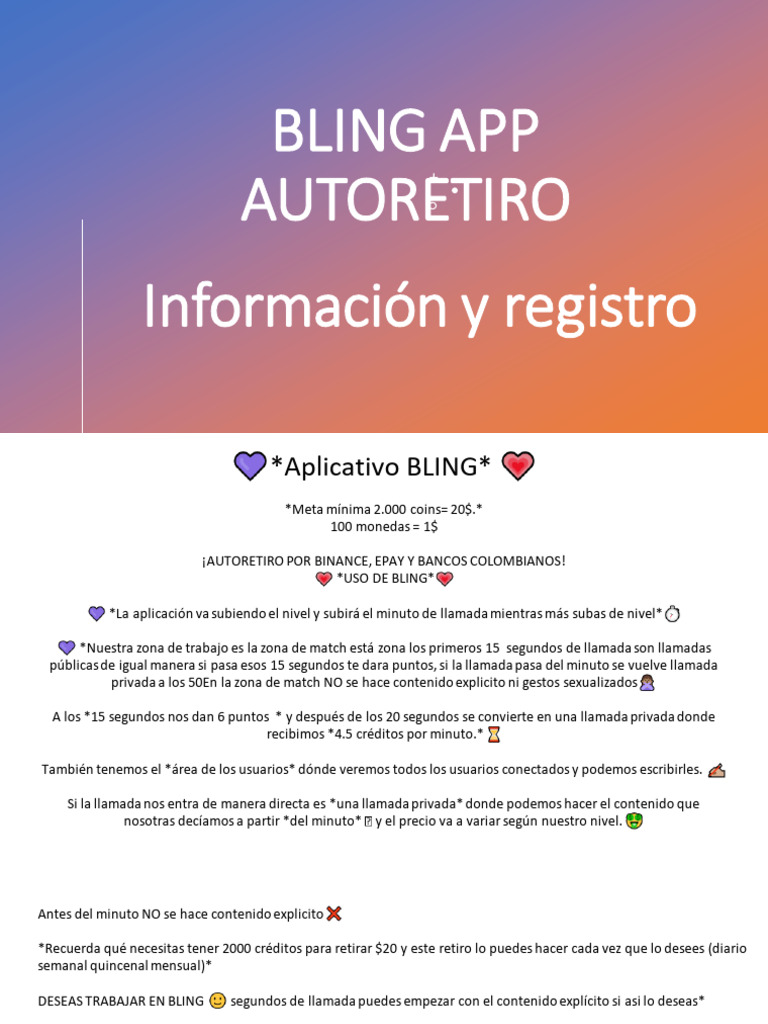 BLING INFORMACIÓN Y REGISTRO | PDF | Informática | ciberespacio
