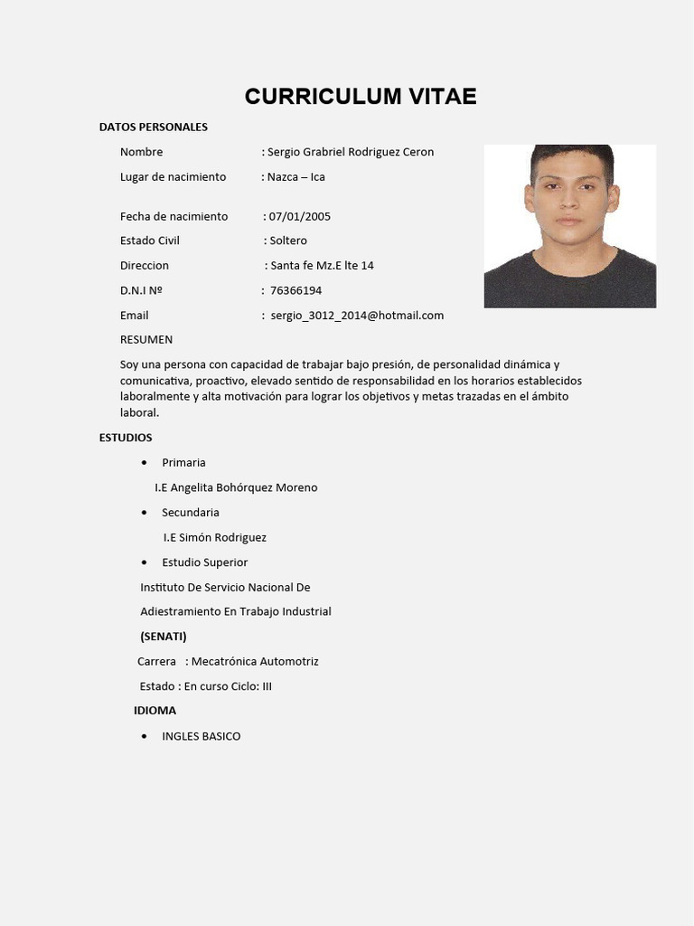 CV Sergio Grabriel Rodriguez Ceron | PDF