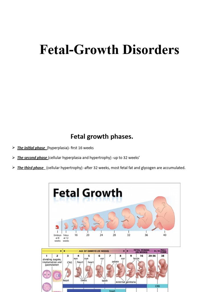 Fetal-Growth DisorderS Fetal Disorders | Download Free PDF | Prenatal ...