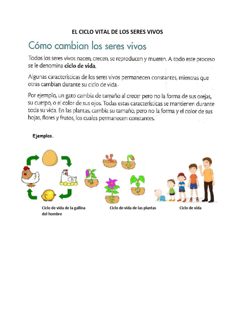 El Ciclo Vital de Los Seres Vivos | PDF