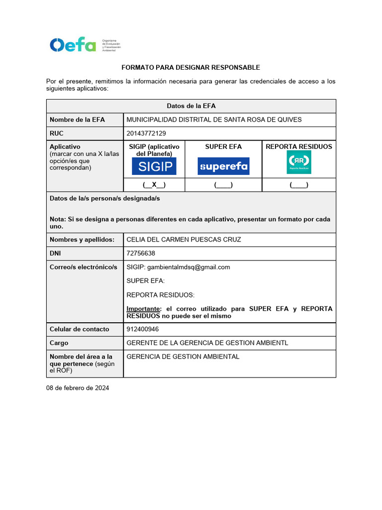 Designación de Responsable para SIGIP | PDF