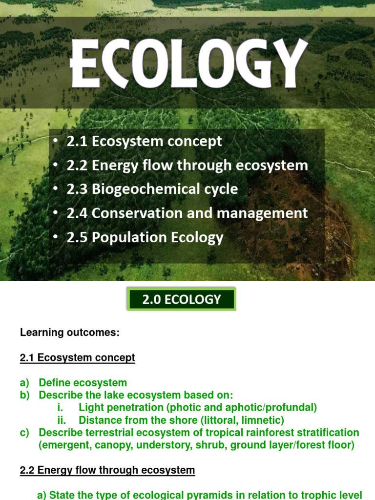 Chapter 2 Ecology | PDF | Carbon Cycle | Ecosystem