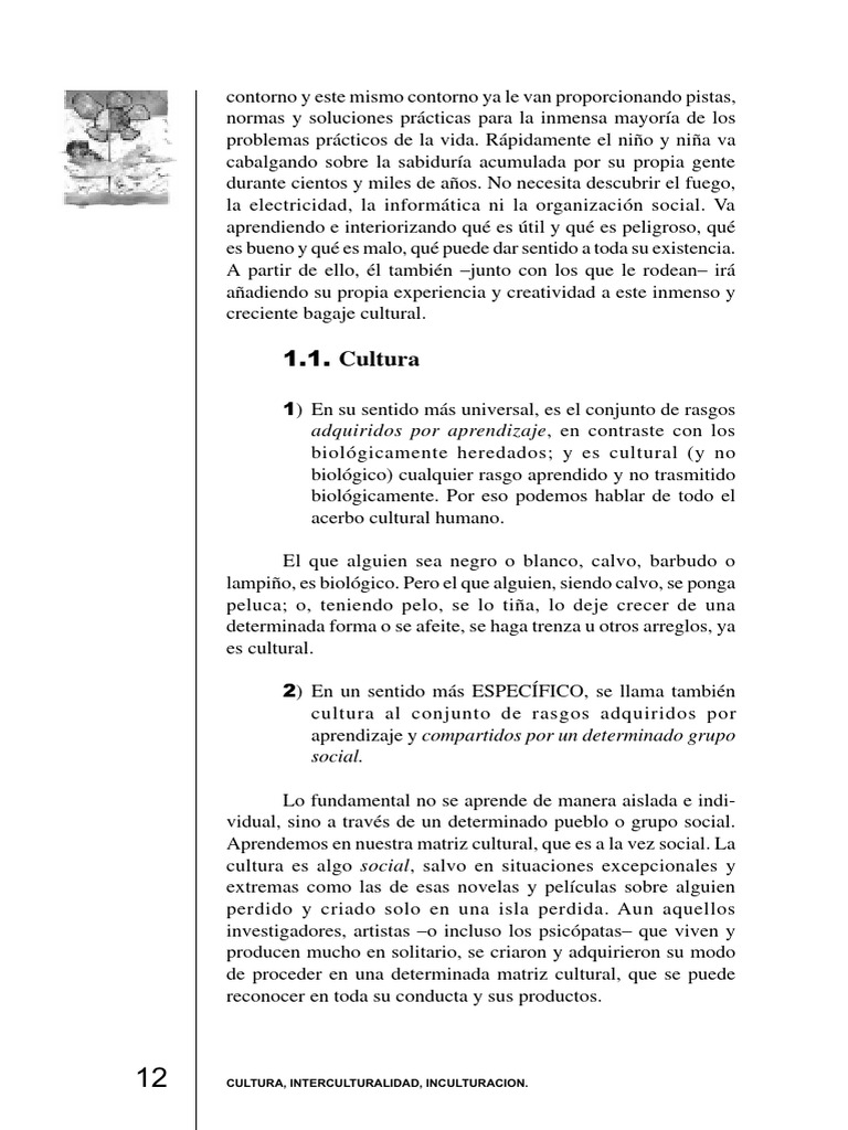 Cultura e Interculturalidad: Conceptos Clave | PDF | Sociedad | America ...