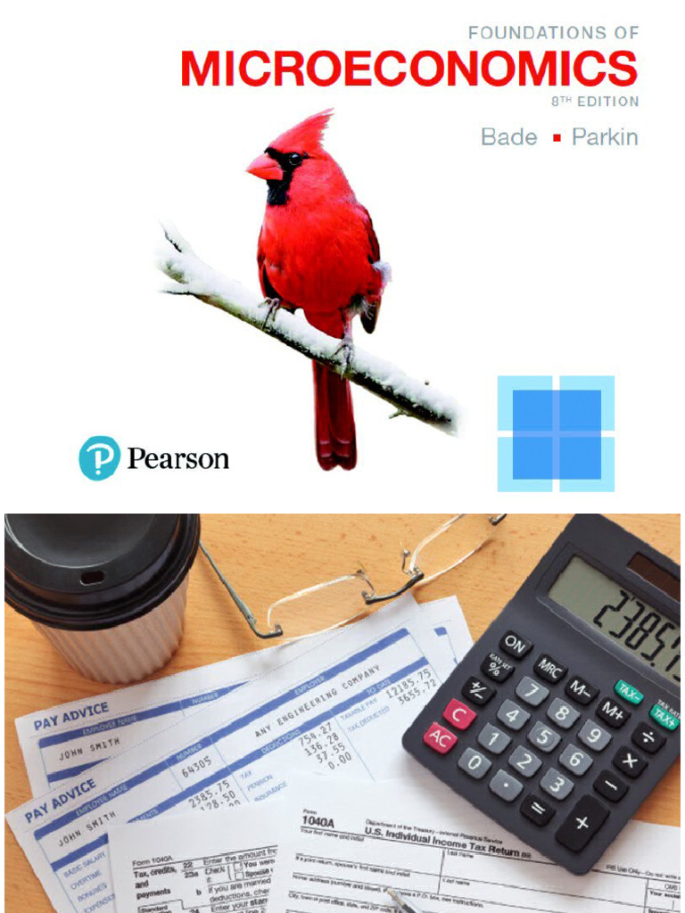 Chapter 8 PowerPoint | PDF | Taxes | Elasticity (Economics)